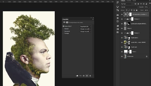 Apprenez à créer un effet double exposition sur Photoshop